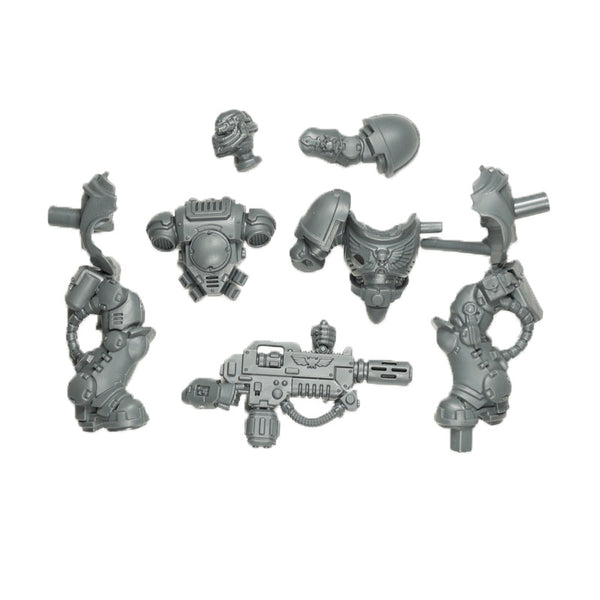 Warhammer 40K Space Marine Primaris Honoured Of The Chapter Eradicator ...