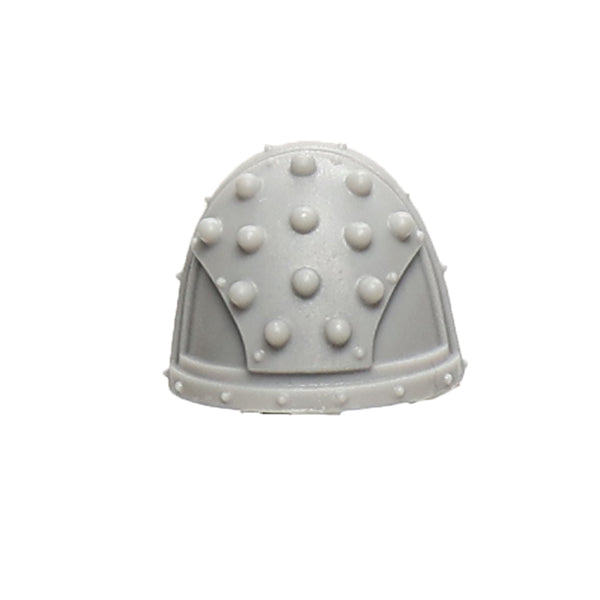 Warhammer 40K Space Marines Forgeworld Traitor Herald Consul Shoulder ...