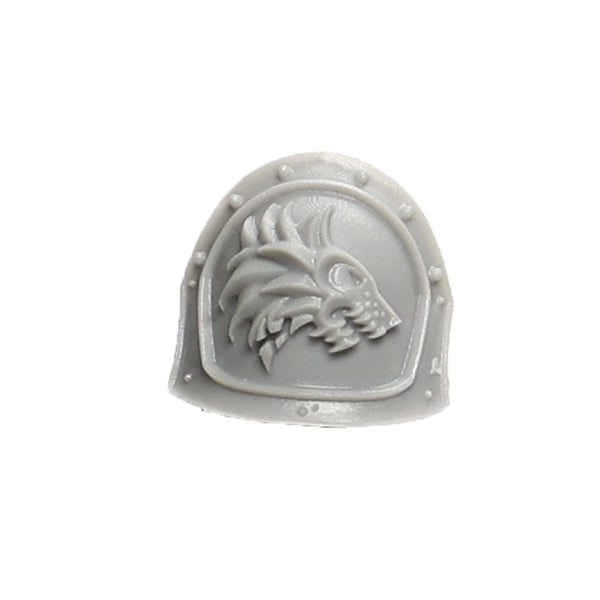 Warhammer 40K Marines Forgeworld Space Wolves Caster of Runes Consul S ...