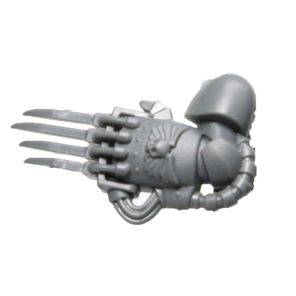 Warhammer 40K Space Marine Assault Squad Lightning Claw | Egg Head ...