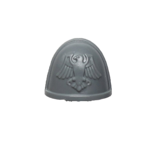 Warhammer 40k Forgeworld Space Marine Raven Guard Primaris Upgrades Sh ...